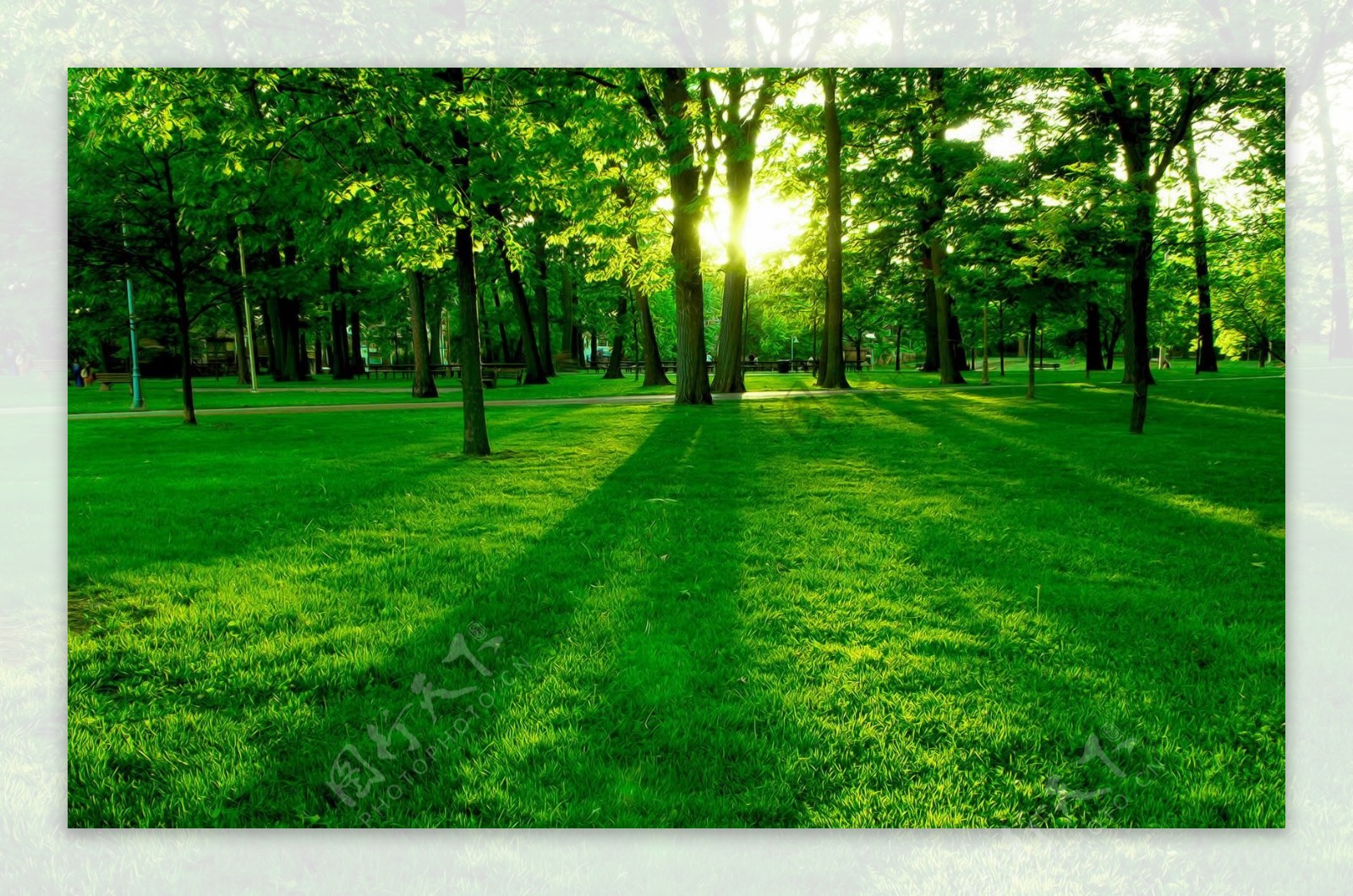 高清绿色桌面背景图片素材-编号02016169-图行天下