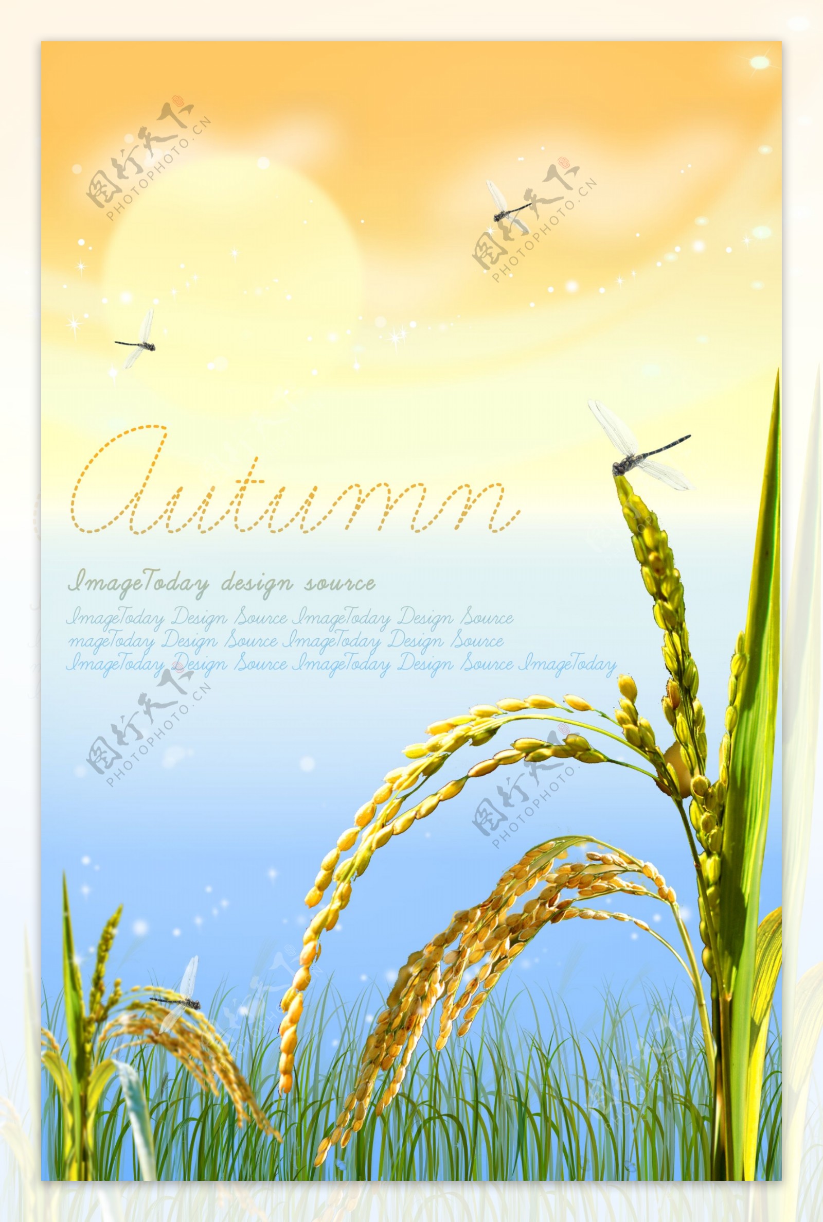 春天夏天秋天风景浪漫情景花朵花园树枝树叶韩国花纹图库2psd分层素材源文件图片素材-编号02973519-图行天下