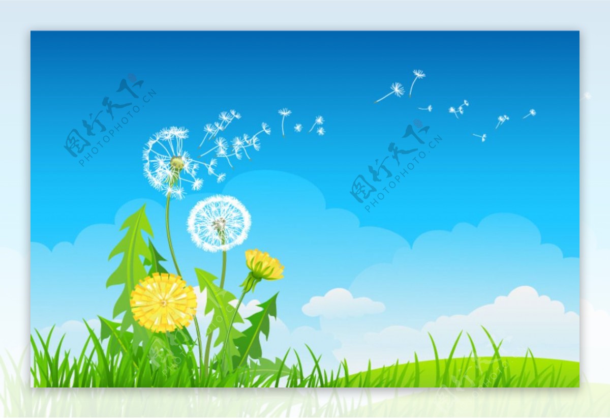 精美蒲公英矢量素材图片素材-编号08182949-图行天下