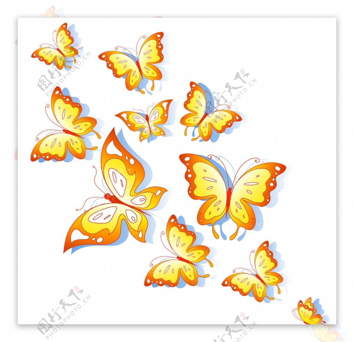 蝴蝶图片素材-编号10001949-图行天下