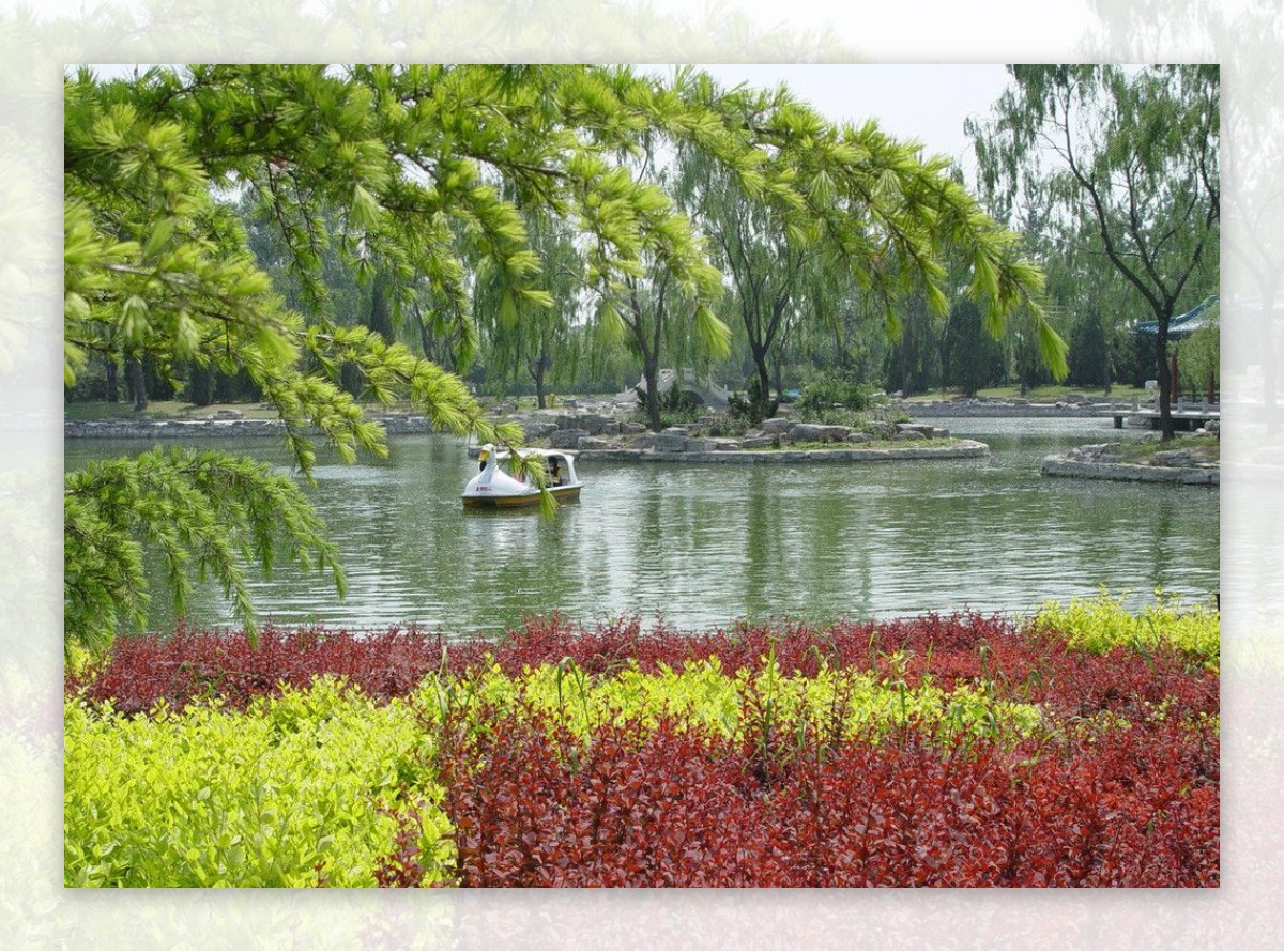 春色满园图片素材-编号11518919-图行天下