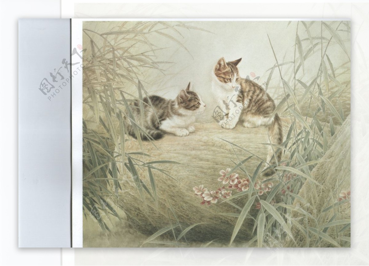 国画猫图片素材-编号11785899-图行天下