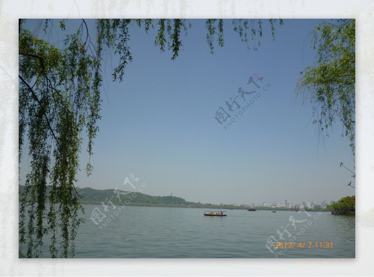 柳树图片素材-编号12186609-图行天下