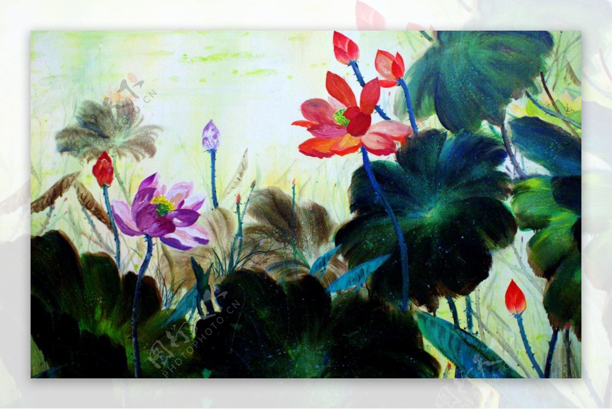 荷花图图片素材-编号12223069-图行天下