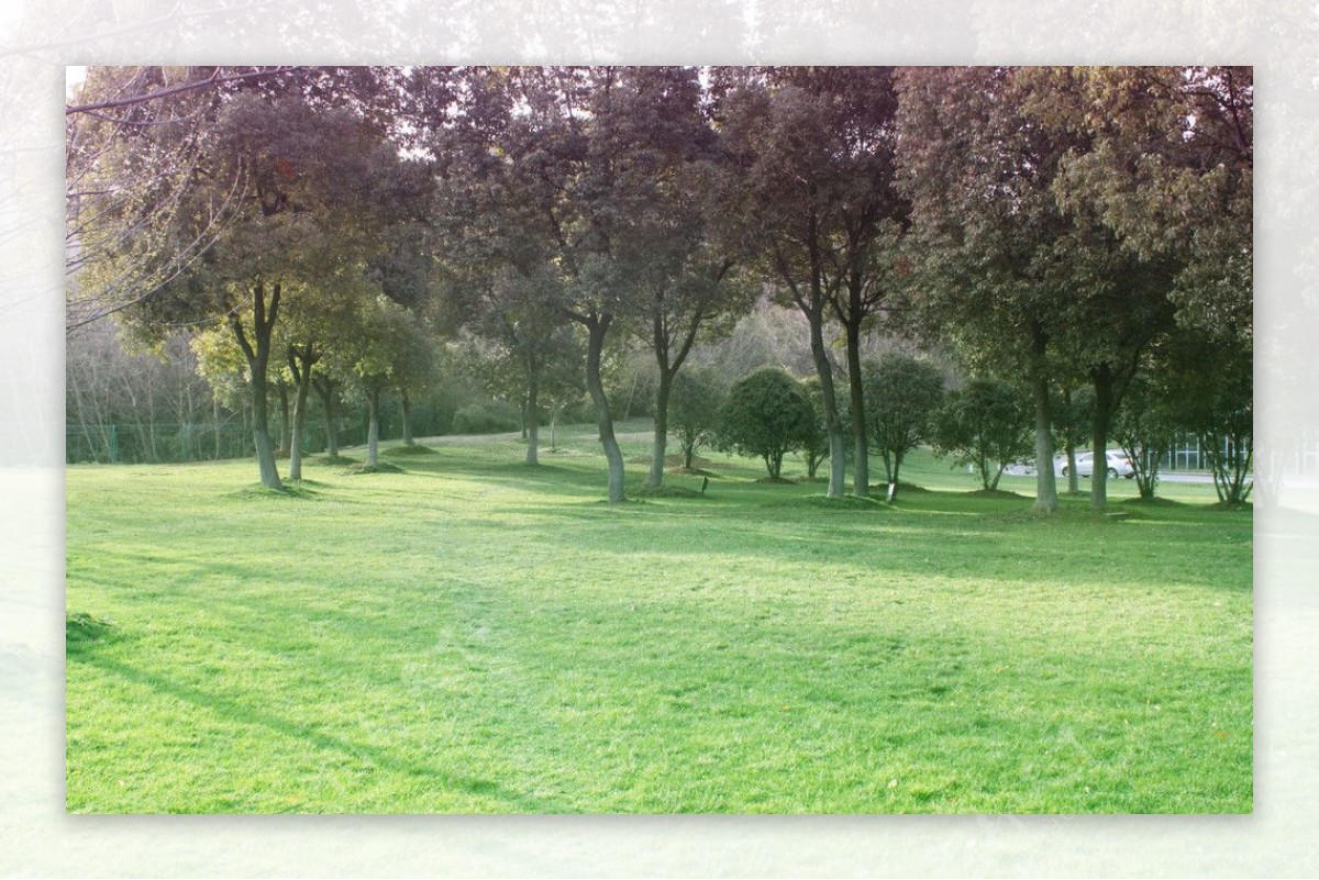公园草地图片素材-编号12542169-图行天下