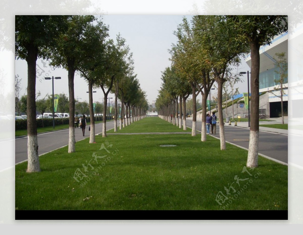 树图片素材-编号13502179-图行天下