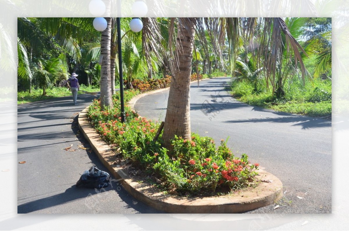 景观大道图片素材-编号13537049-图行天下