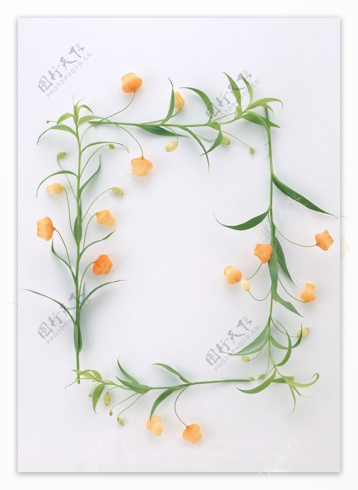 花边框图片素材-编号15004619-图行天下