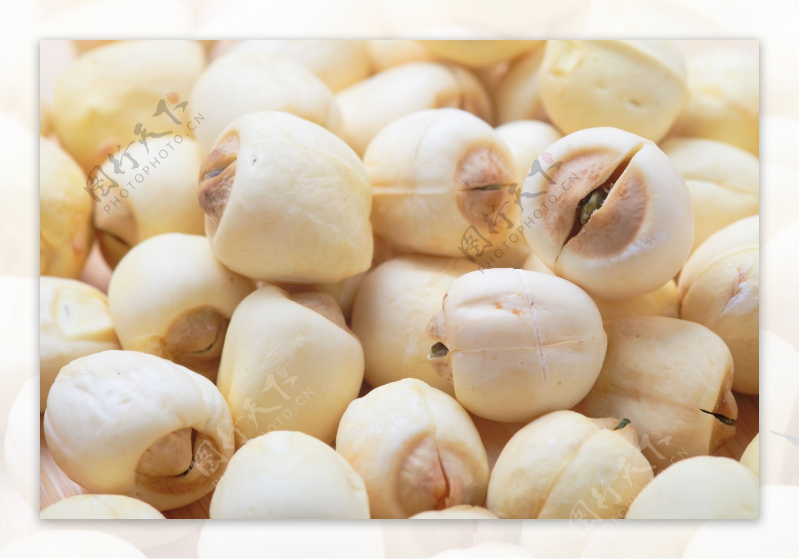 白莲子图片素材-编号15940619-图行天下