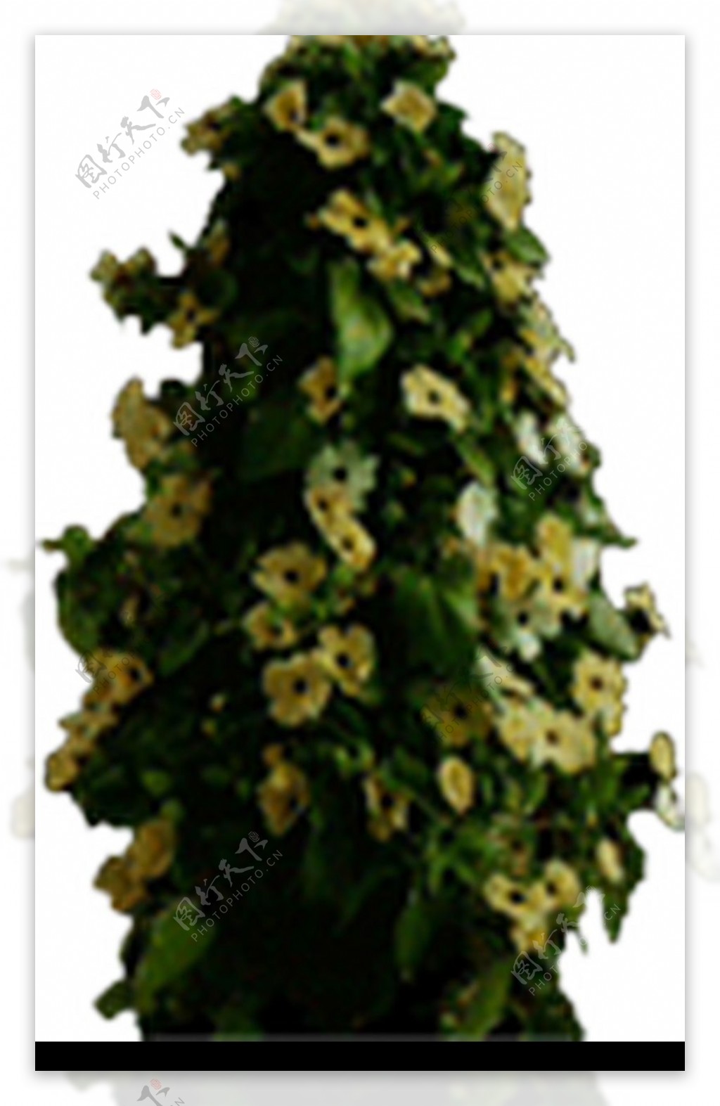 灌木0098图片素材-编号20946939-图行天下