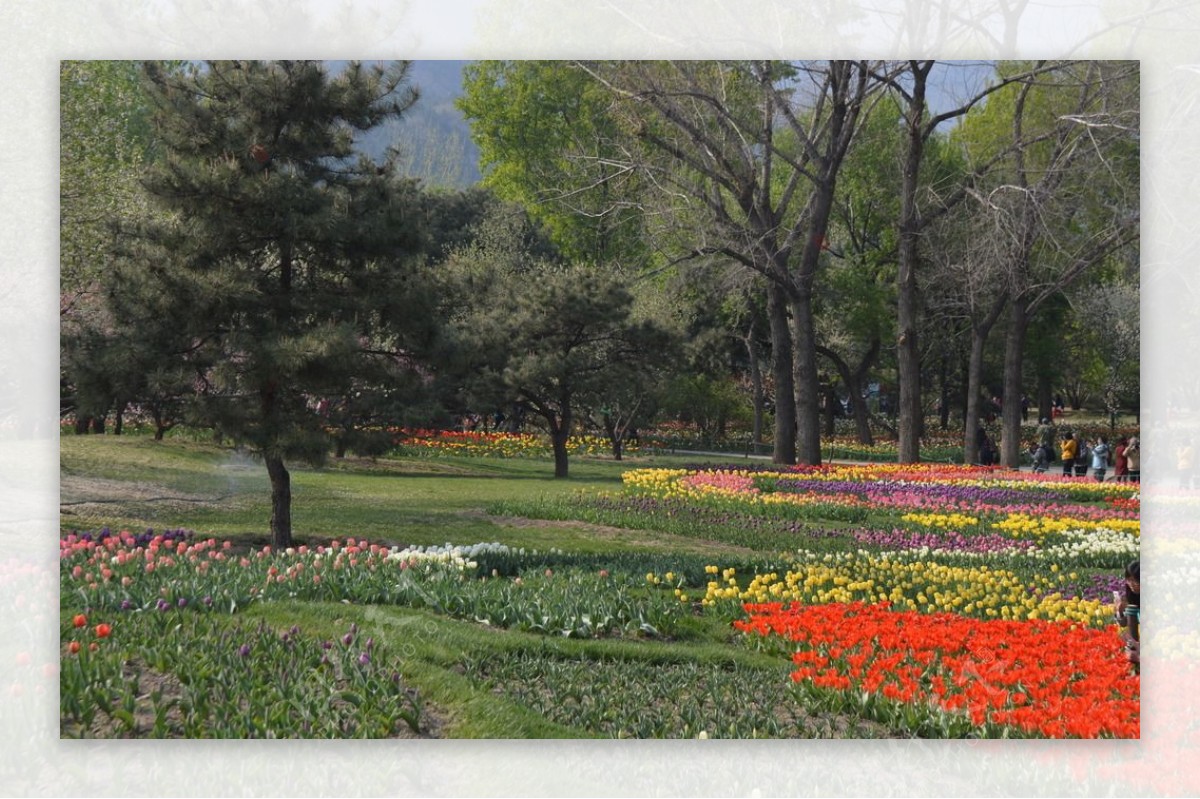 绿化景观图片素材-编号22762889-图行天下