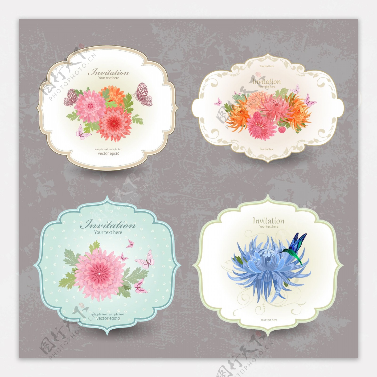 花卉图片素材-编号23681459-图行天下