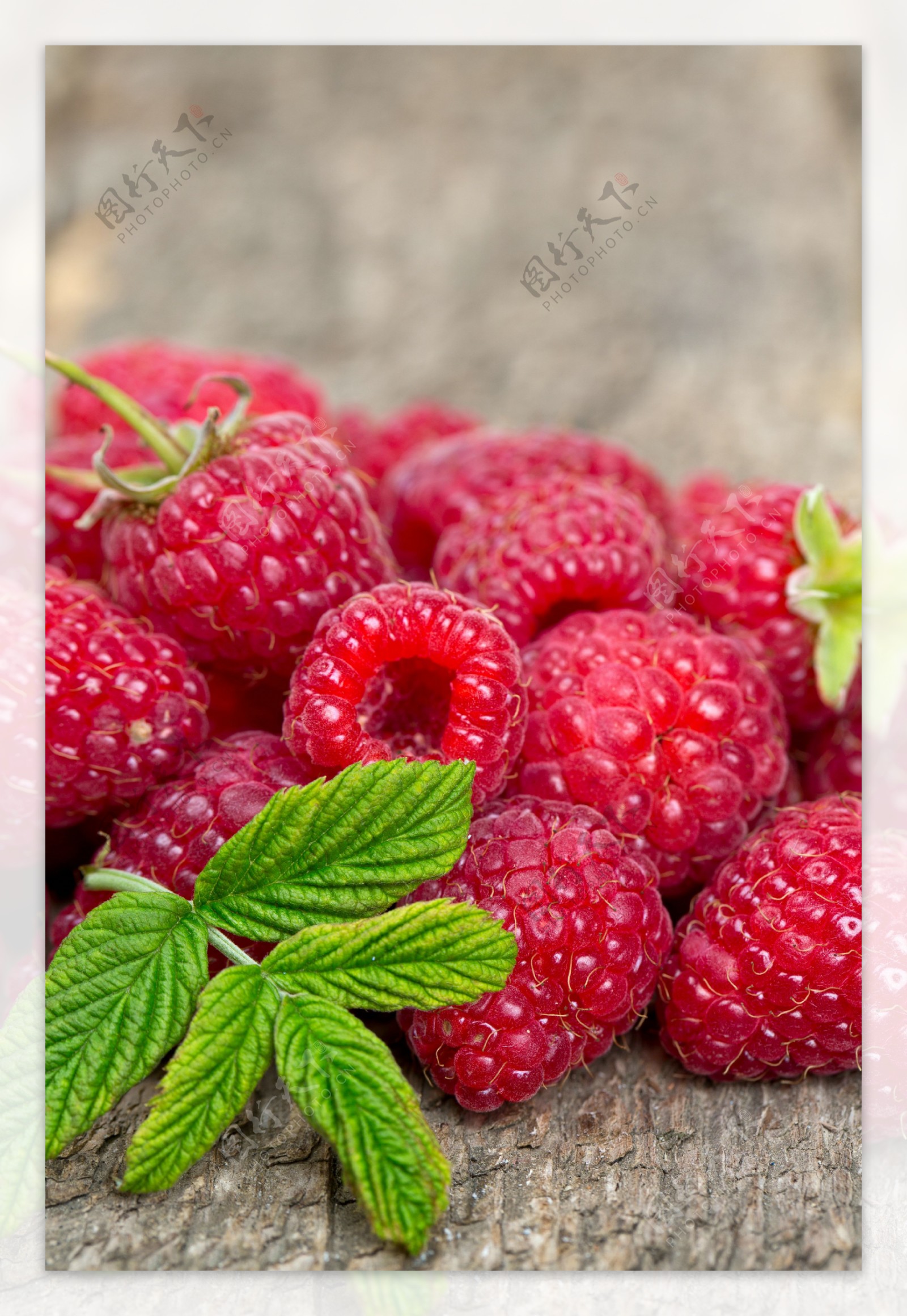 红红的树莓摄影图片素材-编号24746209-图行天下