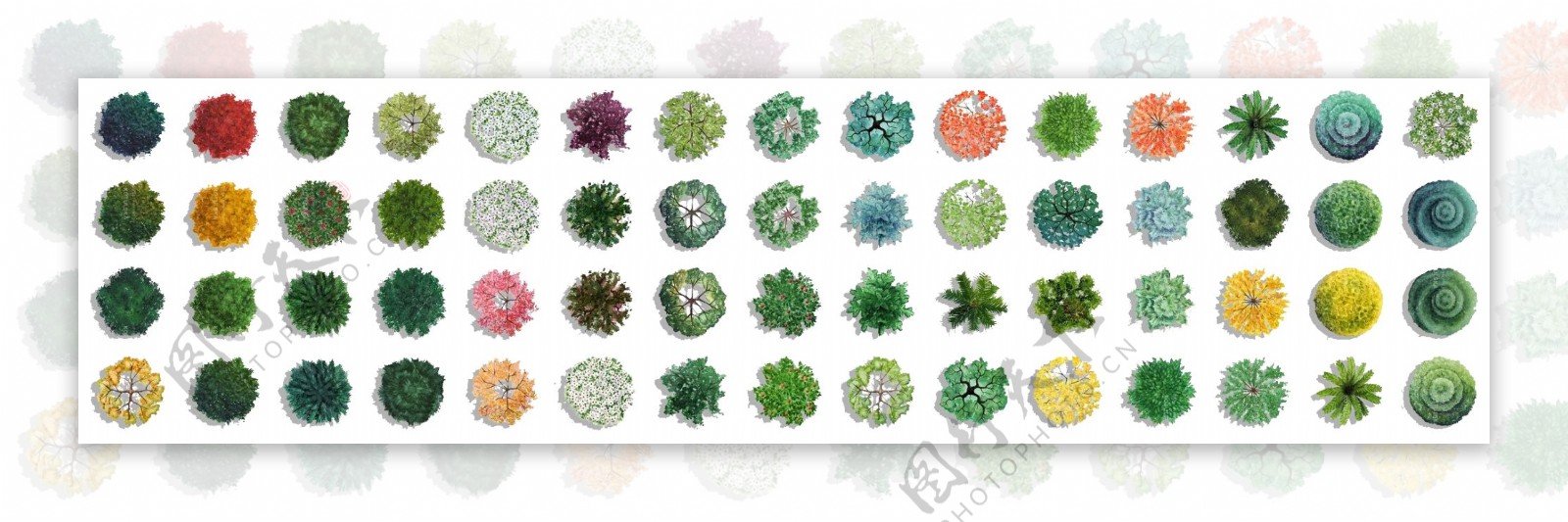 彩屏树植物图片素材-编号31350429-图行天下