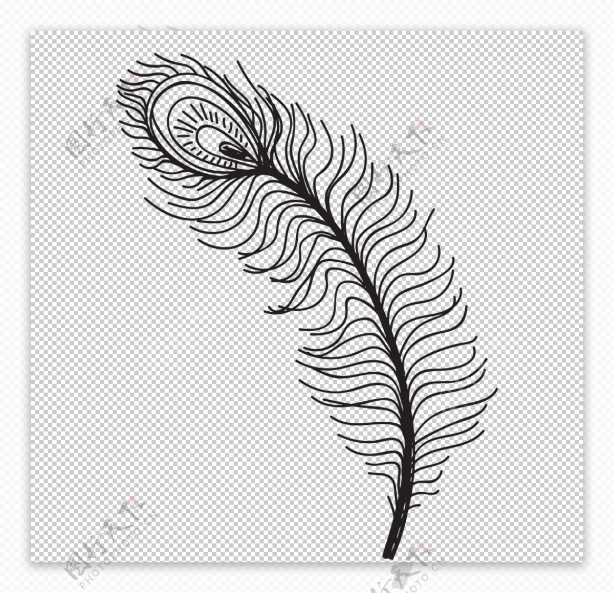 卡通孔雀图片素材-编号32261189-图行天下