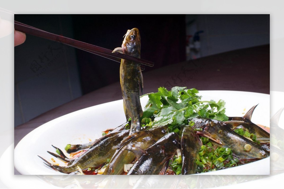 泉水三角蜂图片素材-编号35176039-图行天下