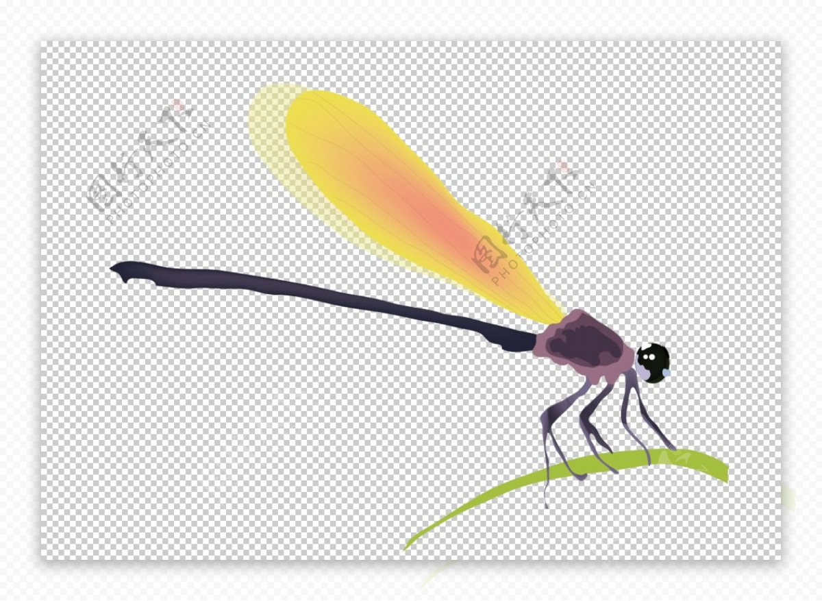 蜻蜓图片素材-编号39799469-图行天下